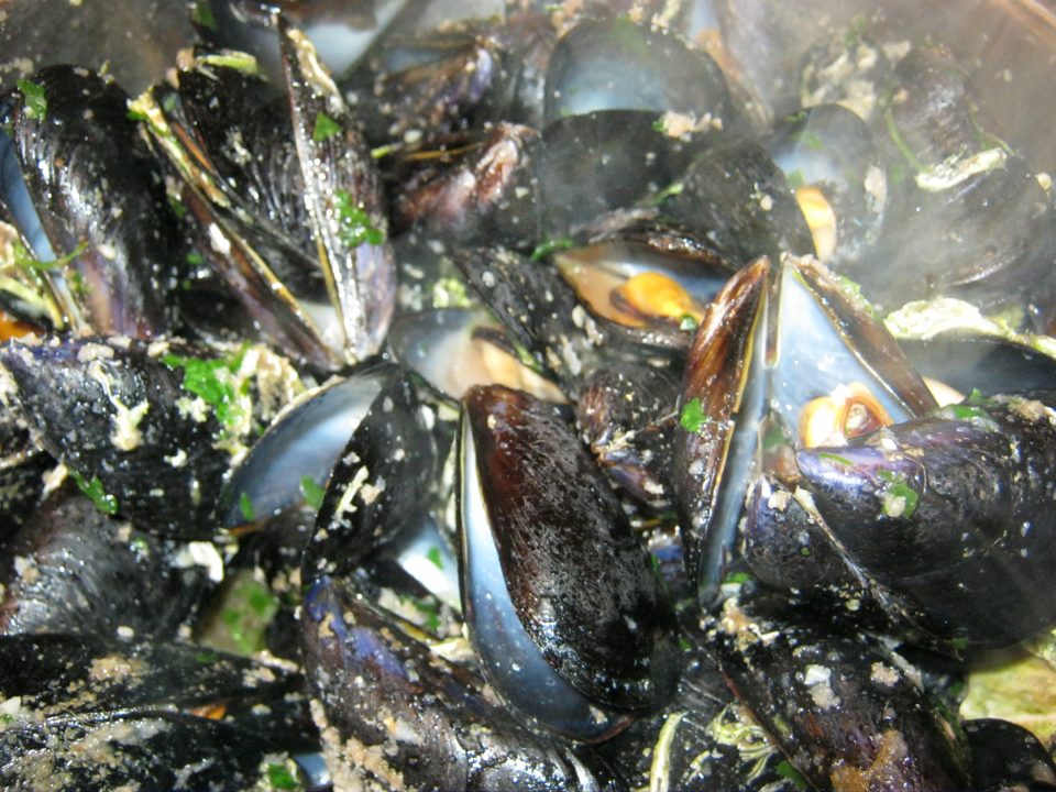 Mušlje na buzaru - brzirucak.com