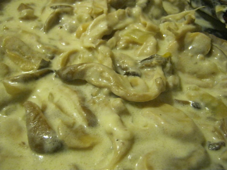 Bukovače u sosu - brzirucak.com